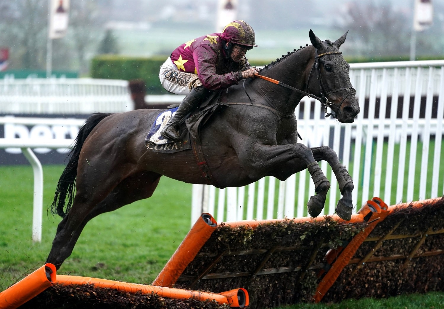 Cheltenham Gold Cup History: All Past Winners and Trends Listed ...