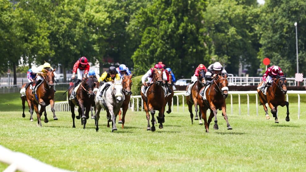 Horse Racing - Pundit Feed