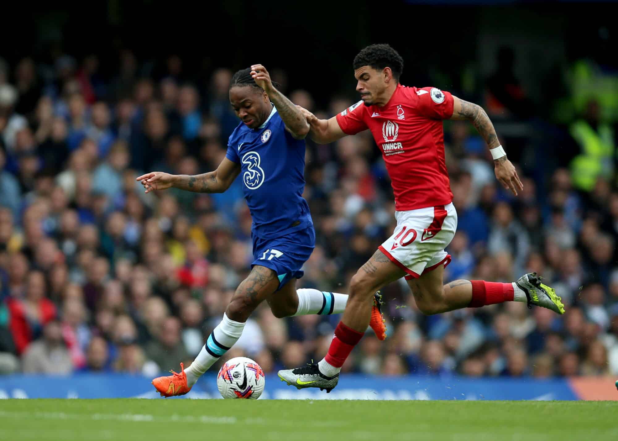 Chelsea vs Nottingham Forest Head-to-Head: Can Forest Surprise Once ...